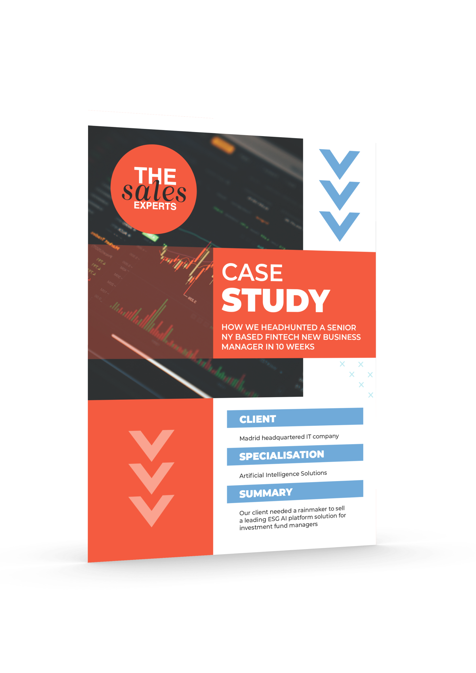 Our Recruitment Cases | The Sales Experts Recruitment Agency