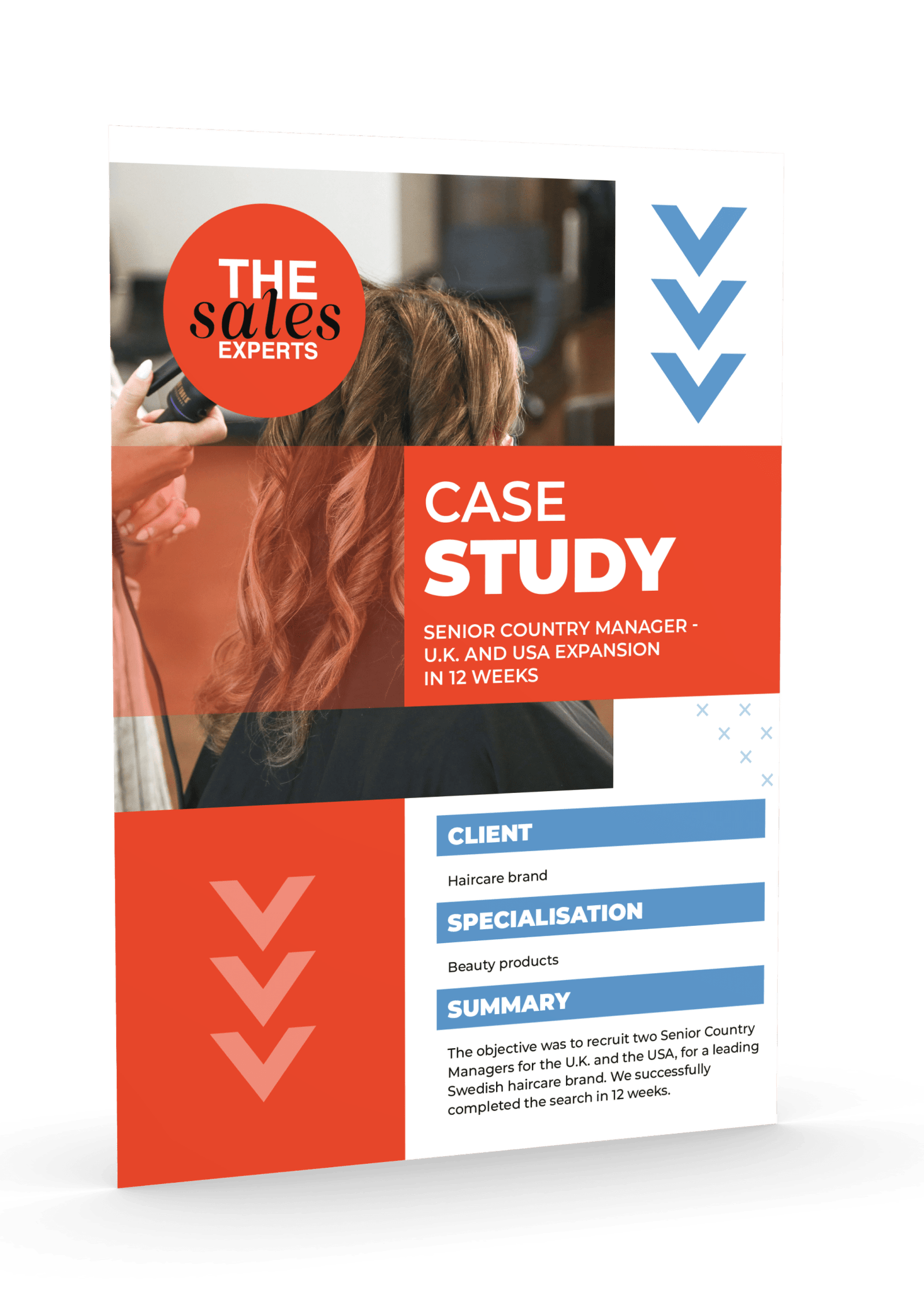 Our Recruitment Cases | The Sales Experts Recruitment Agency